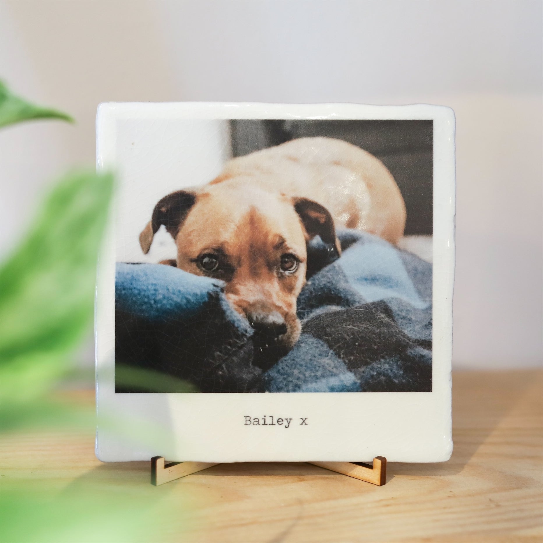 Personalised Crackle Glazed Ceramic Pet Photo Tile– The Drifting Bear Co
