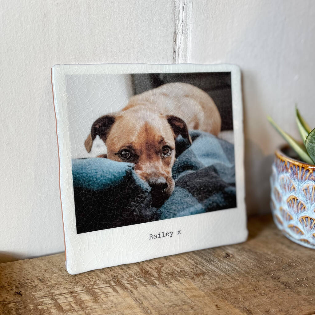 Personalised Crackle Glazed Ceramic Pet Photo Tile– The Drifting Bear Co